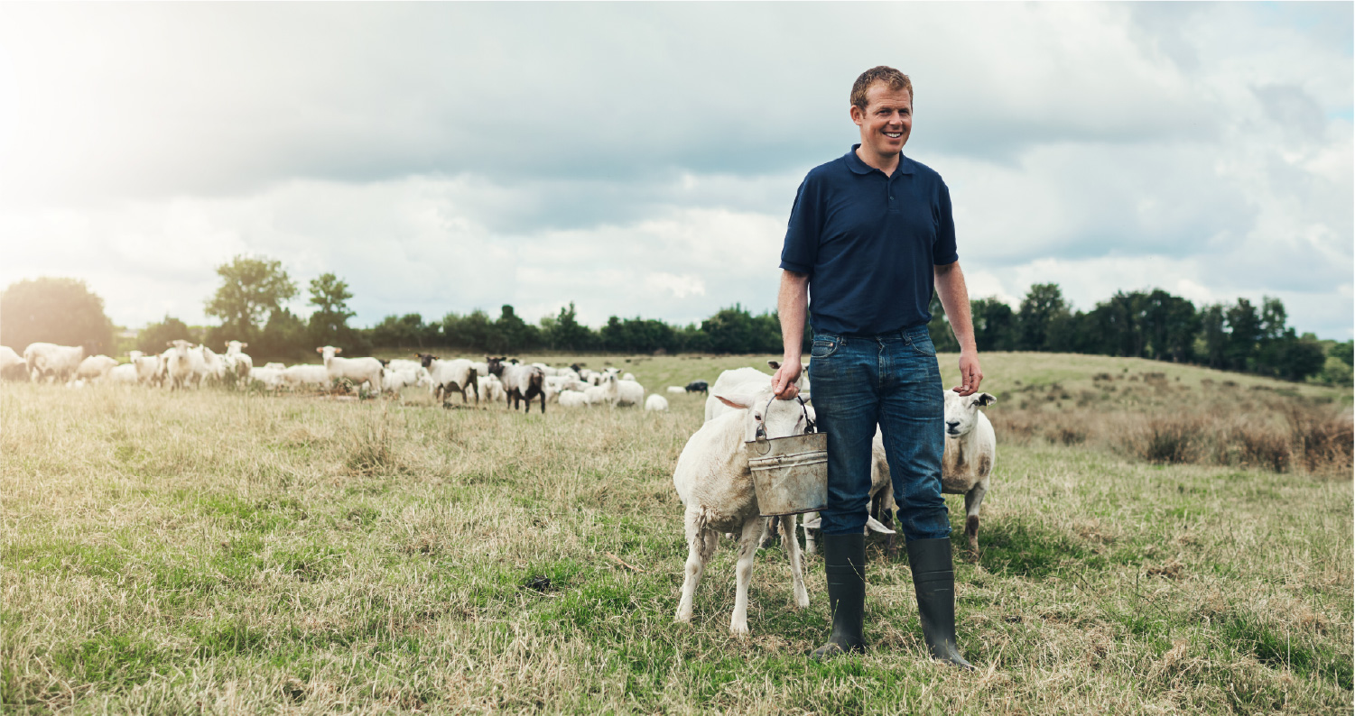 About British Wool - Our Story