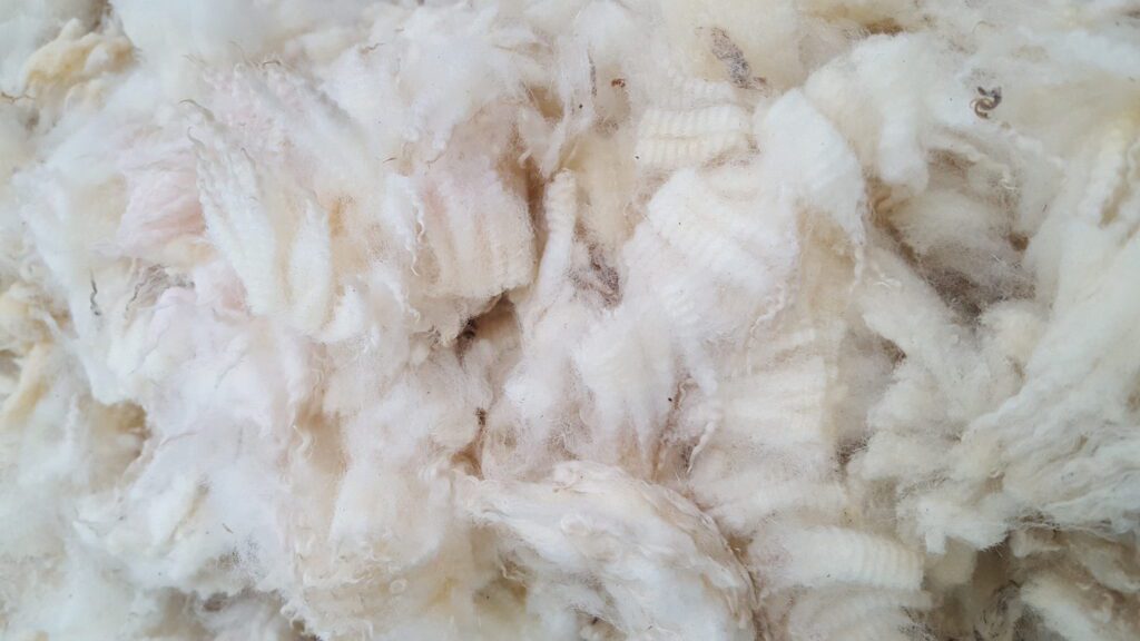 Celebrating Wovember - British Wool