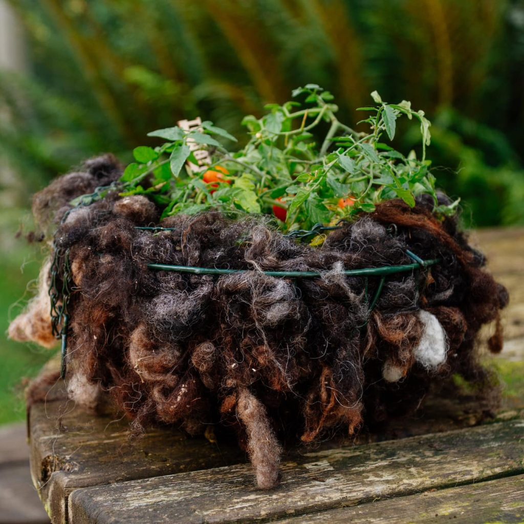 Allotment Wool Bag - British Wool