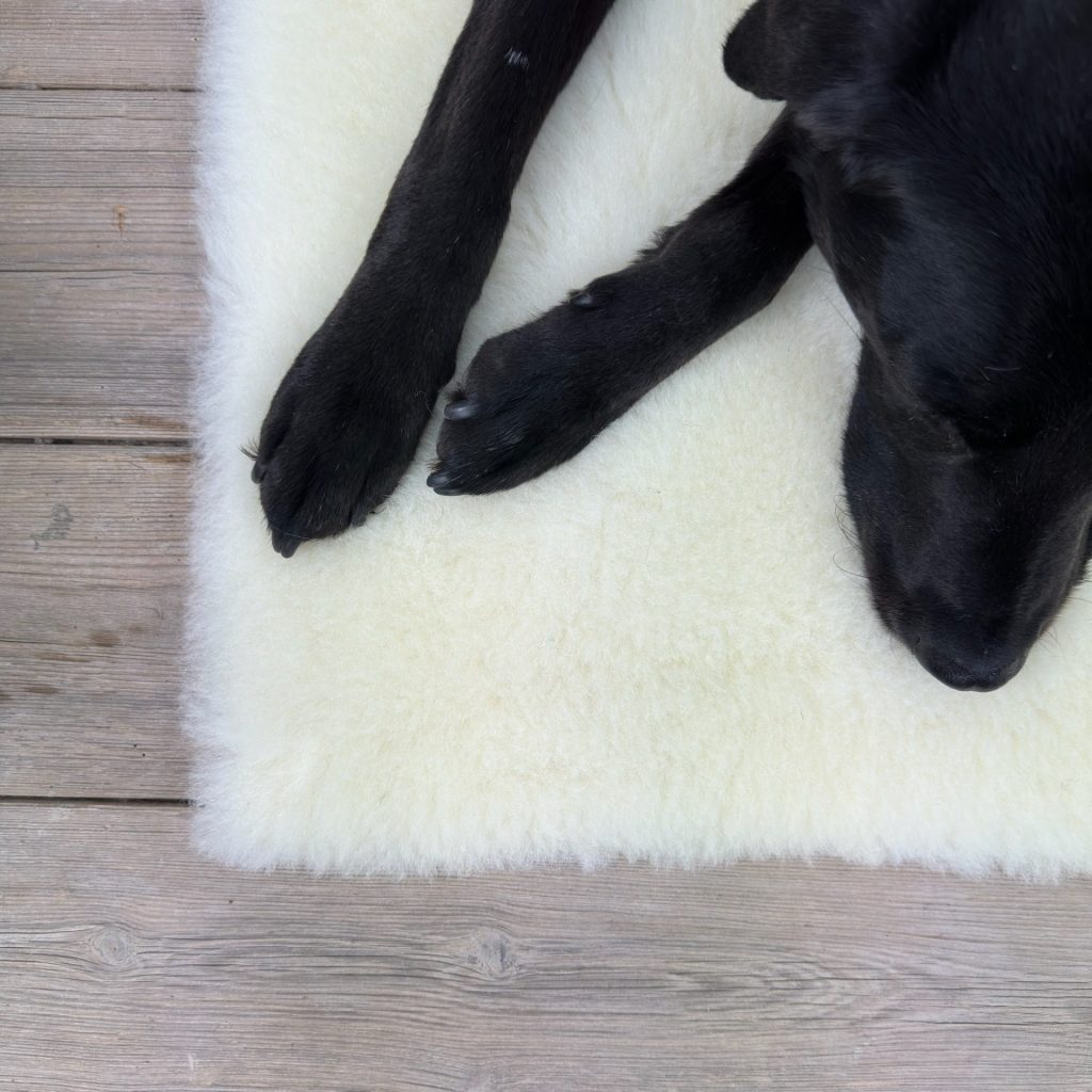 100% British Wool Dog Beds - British Wool